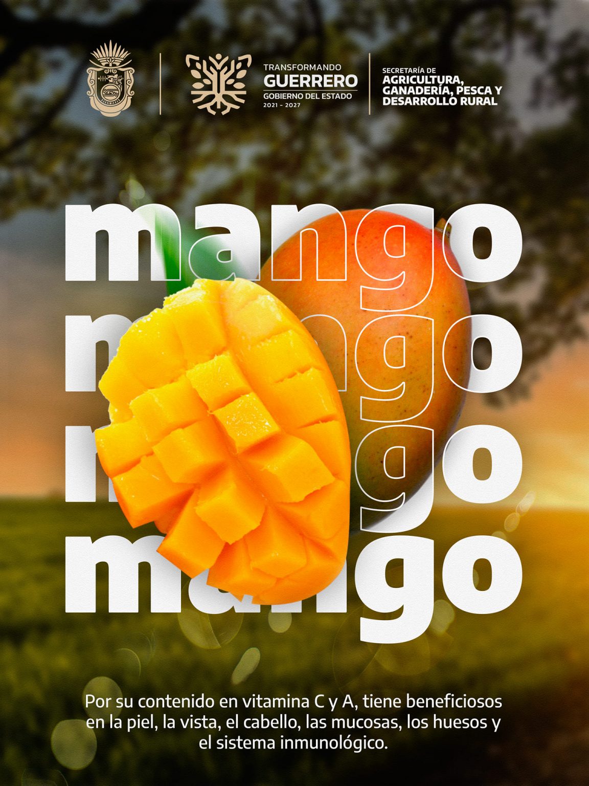 El Estado de Guerrero ocupa el primer lugar en valor a la producción de ...