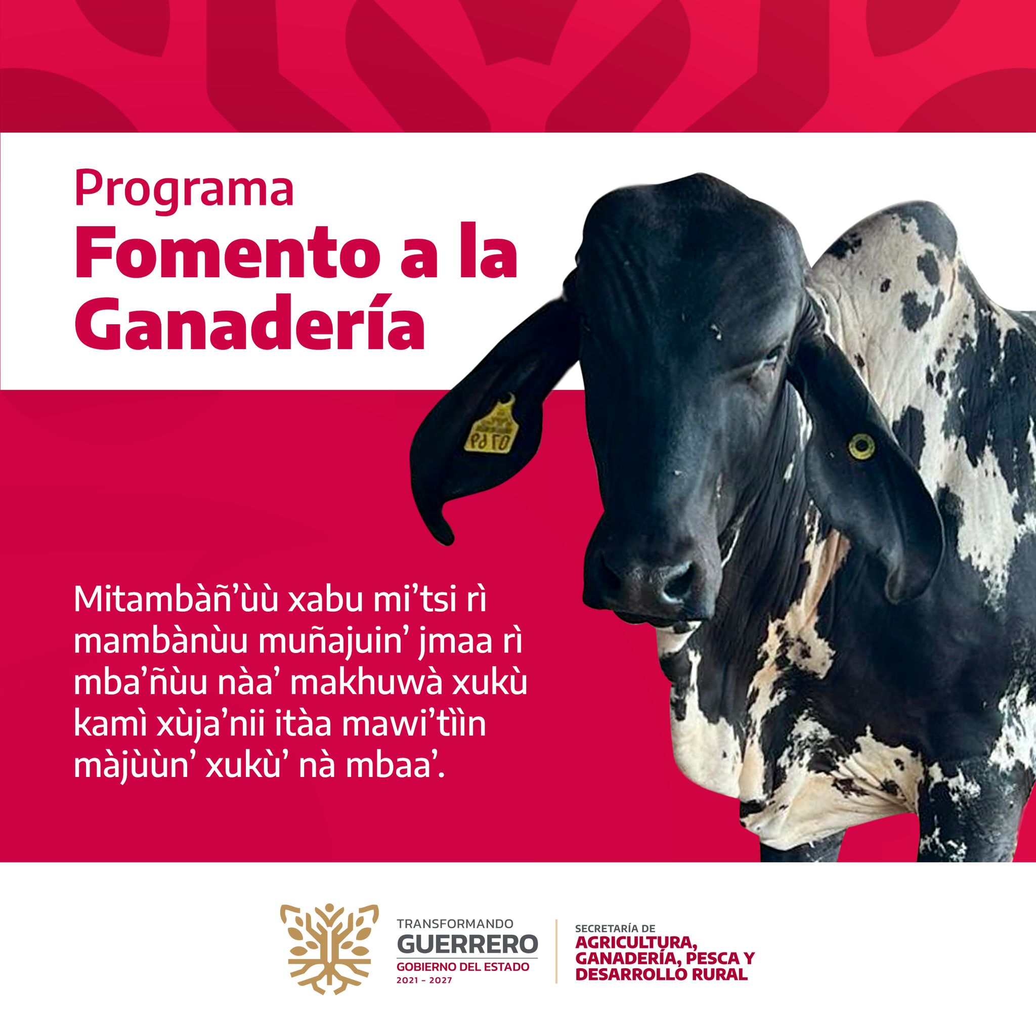 Fomento a la Ganadería – Secretaría de Agricultura, Ganadería, Pesca y Desarrollo Rural